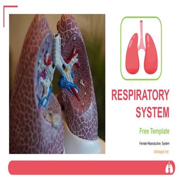 Respiratory-System-Template. sistem respirasi.pptx