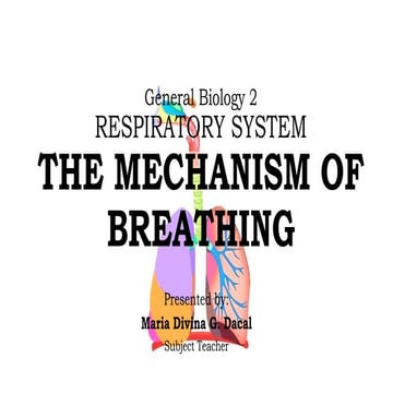 RESPIRATORY-SYSTEM_THE-MECHANISM-OF-BREATHING.pdf