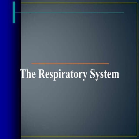 Respiratory System - Anatomy | PPSX