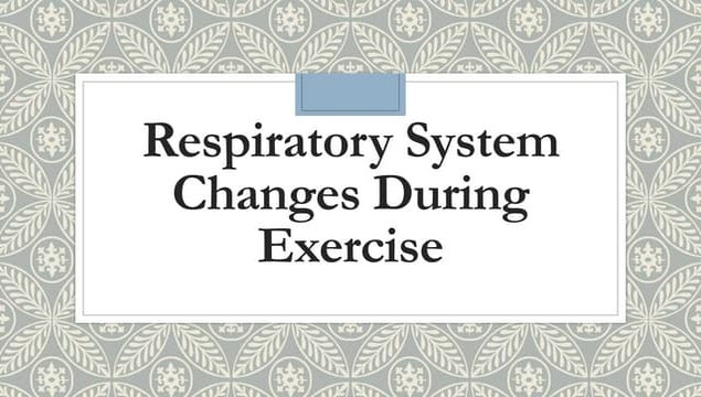 Influence Of Exercise On Respiratory System Ppt