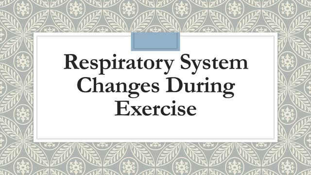 Influence Of Exercise On Respiratory System Ppt