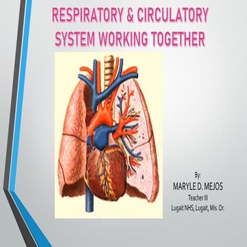 Respiration | PPT