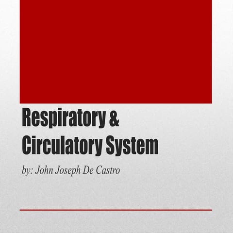 Respiratory & Circulatory System.pptx