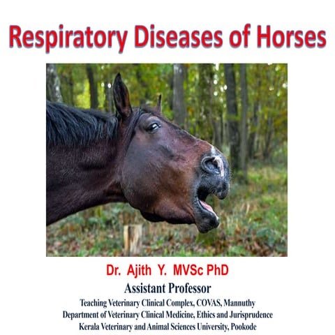 Respiratory diseases of horses | PPTX