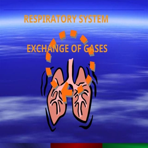 upper and lower of respiratory system | PPT