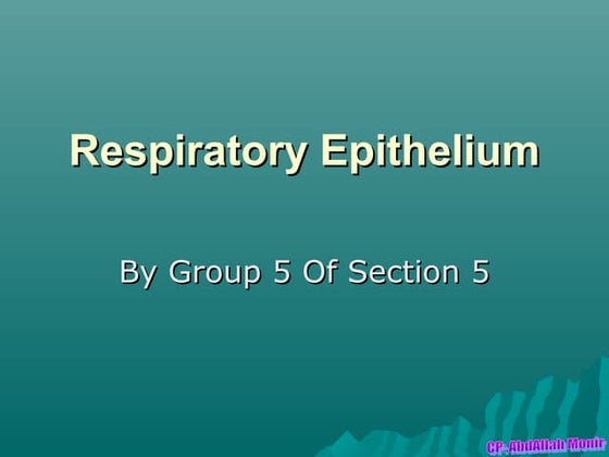 Respiratory epithelium2 | PPT