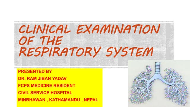 Assessment of Chest Expansion.pptx | Lung and Respiratory Health ...