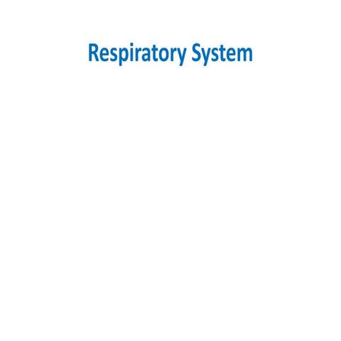 Respiratory tract introduction | PPT
