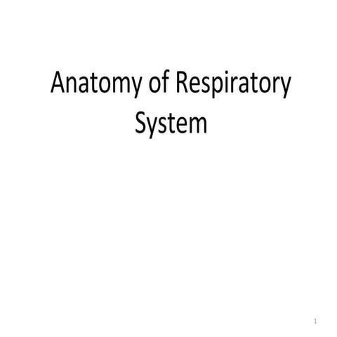 Respiratory system Anatomy | PPTX