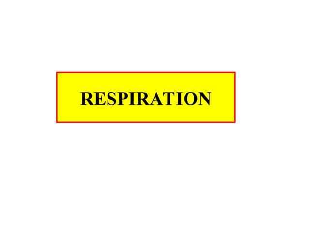 Chapter - 10, Respiration in Organisms, Science, Class 7 | PDF
