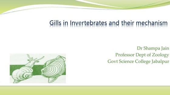 Prawn respiratory system,Types of gills,structure of gill plates ...