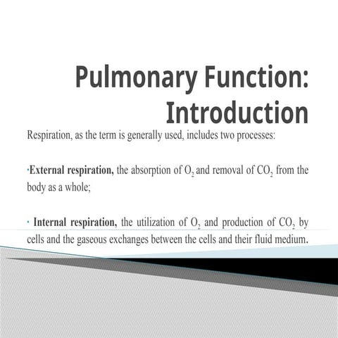 respiratory physiology.pptx and anatomy eee | PPTX