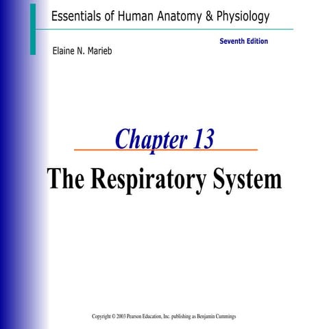 Respiratory System Anatomy and Physiology | PPT
