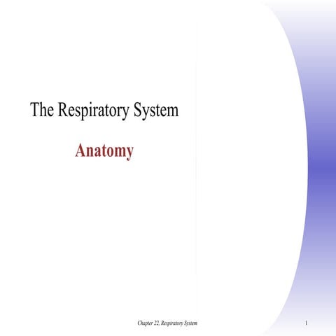 respiratory system document for student nurses | PPT