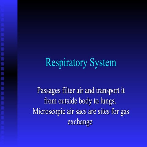 Respiratory system | PPT