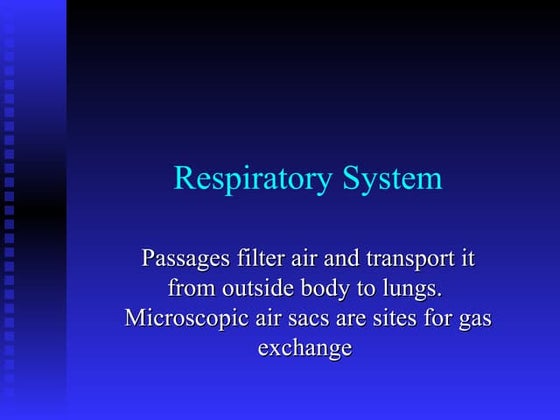 Grade 8 - Respiratory System | PPT | Lung and Respiratory Health ...