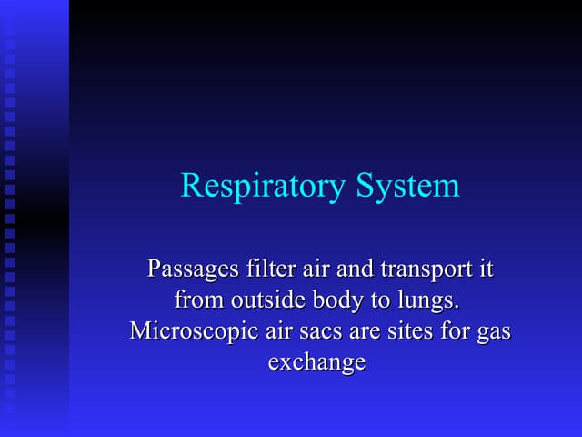 Grade 8 - Respiratory System | PPT