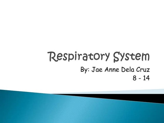 Respiratory system | PPT