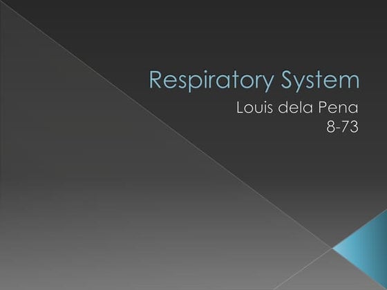 Respiratory system | PPT