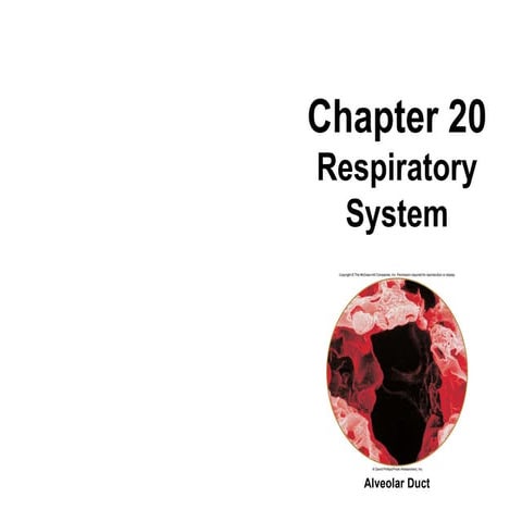 Respiratory system | PPT