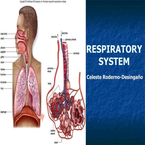 RESPIRATORY SYSTEM | PPT