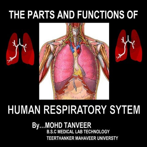 Upper respiratory system- anatomy | PPT