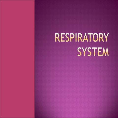 Respiratory system | PPT