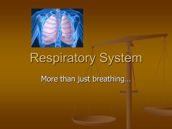 The respiratory system 2 | PPT