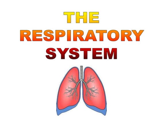 Grade 8 - Respiratory System | PPT