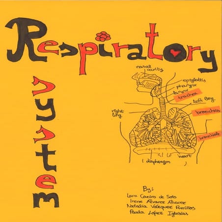 Respiratorysystem | PDF | Lung and Respiratory Health | Diseases and ...