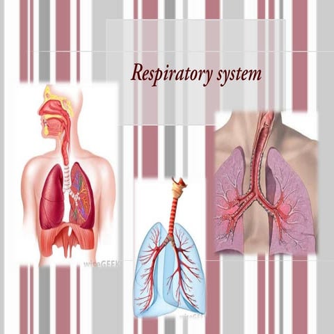 Respiratory system | PPTX