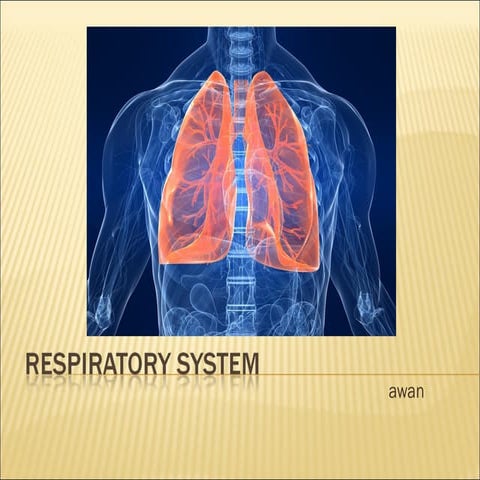 Grade 8 - Respiratory System | PPT