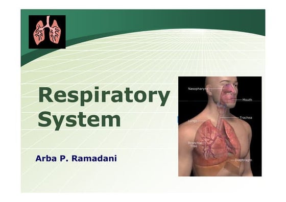 Examination of the respiratory system | PPT