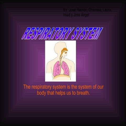 Respiratory system | PPT
