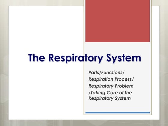Parts and Function of Respiratory System - Grade 9 Science | PPTX