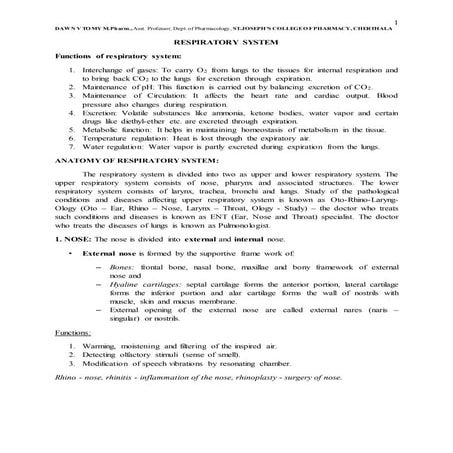 Respiratory system | PDF