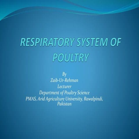Respiratory system of poultry | PPTX