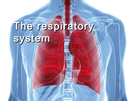 Respiratory System | PPTX