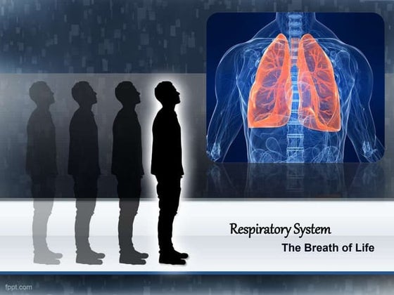 Respiratory System grade-9 Science-Quarter 1-week 1 | PPT