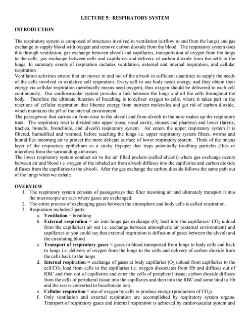 Respiratory System - Unit-2 of Anatomy & Physiology for Nursing ...