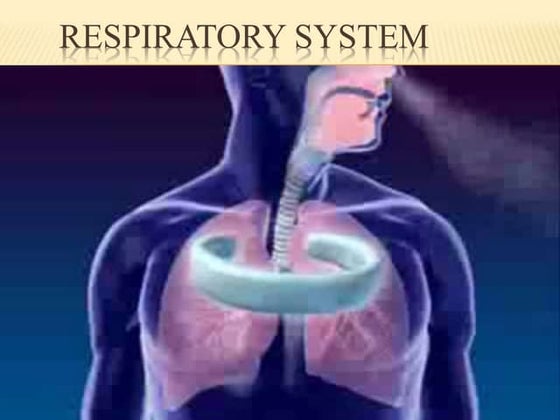 Examination of the respiratory system | PPT