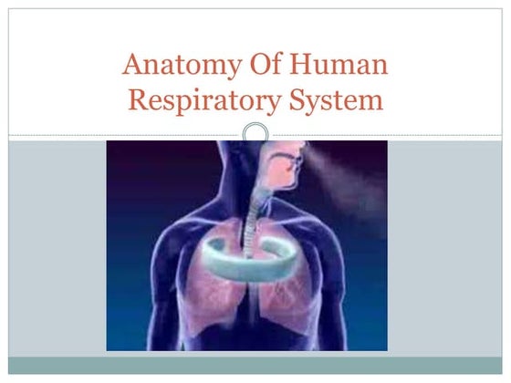 Respiratory System grade-9 Science-Quarter 1-week 1 | PPT