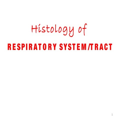 Respiratory system | PPT