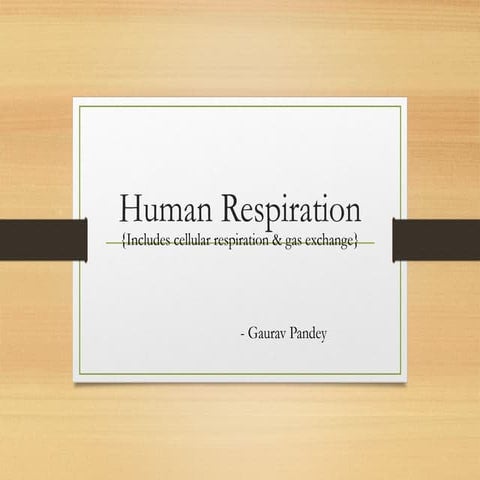 Respiratory system | PPT
