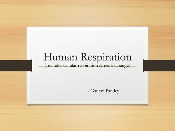 Respiration in humans grade 7 notes | PPTX