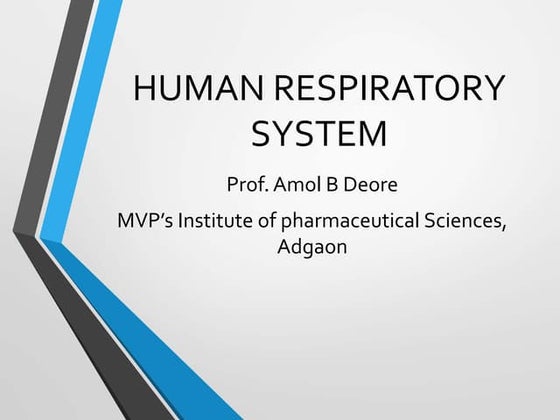 Human respiratory system | PPT