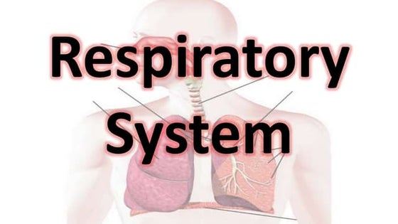 RESPIRATORY .pptx