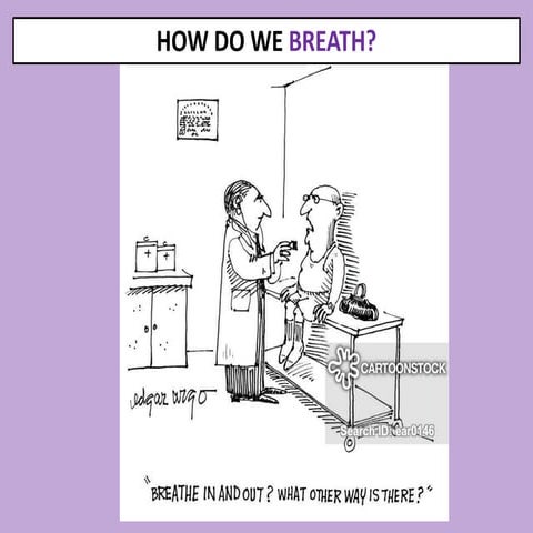 Respiratory system | PPTX