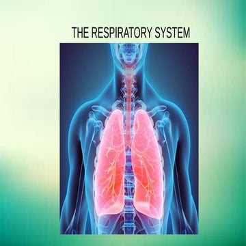 Respiratory system | PDF