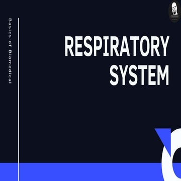 Respiratory system | PDF